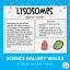 Middle School Science Lesson Ideas: Gallery Walk Edition