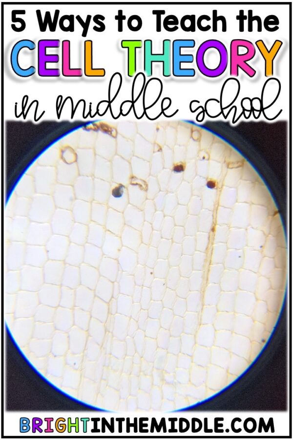 5 Creative Ways to Teach The Cell Theory - Bright in the Middle