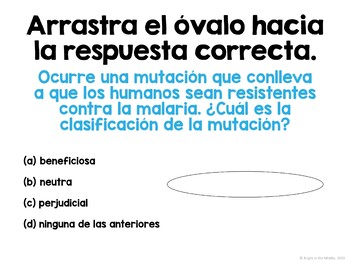 Variation of Traits and Genetic Disorders Lesson in Spanish - Bright in ...