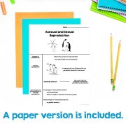 Asexual and Sexual Reproduction Activity and Lesson - Bright in the Middle