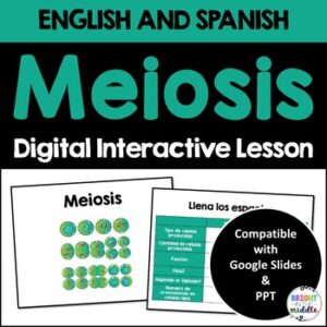 Meiosis Interactive Lesson - ENGLISH AND SPANISH bundle