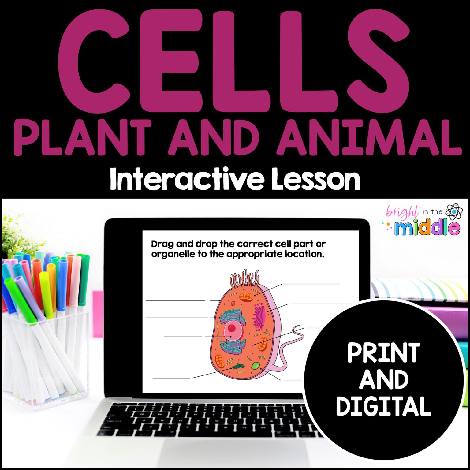 Plant and Animal Cells Lesson - Bright in the Middle