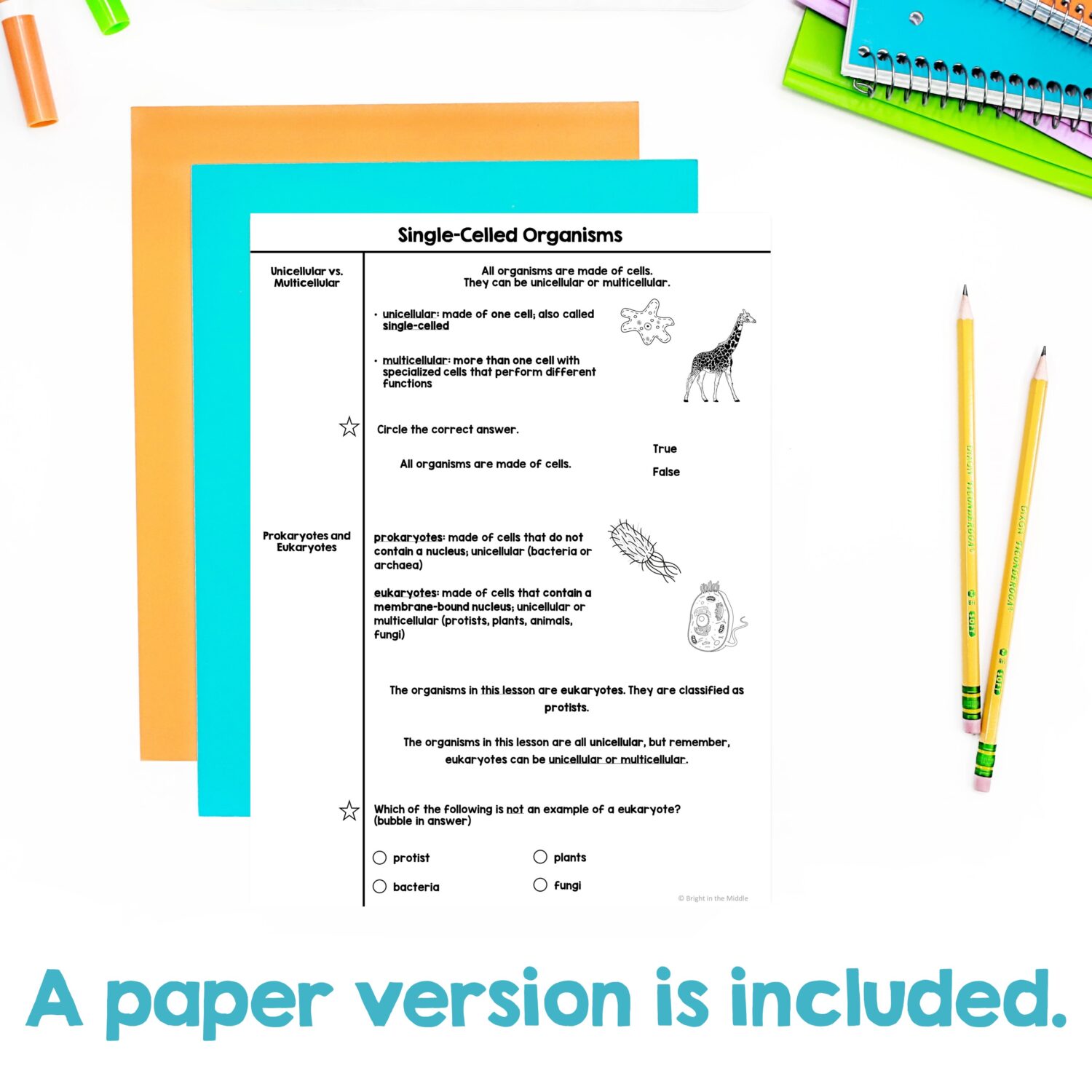 Unicellular Organisms Lesson and Activity - Bright in the Middle