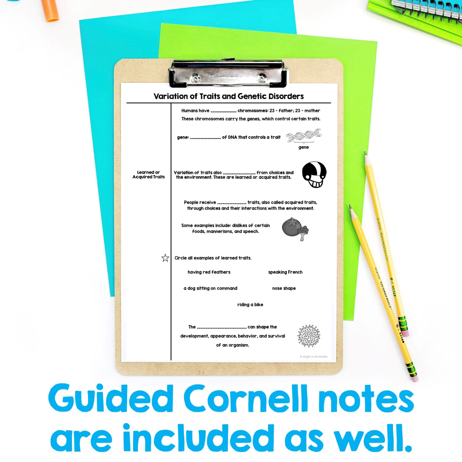 Variation of Traits and Genetic Disorders Interactive Lesson - Bright ...