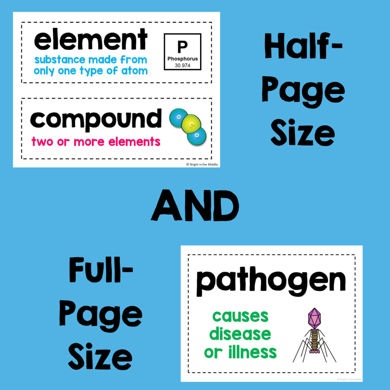 Science Word Wall 8th Grade - 333 Words! - Physical, Life, and Earth ...
