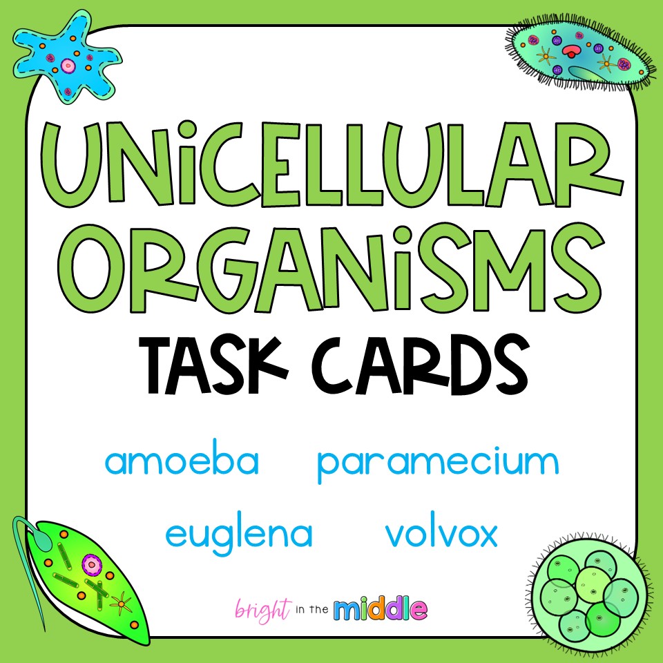 Unicellular Organisms Task Cards - Bright in the Middle
