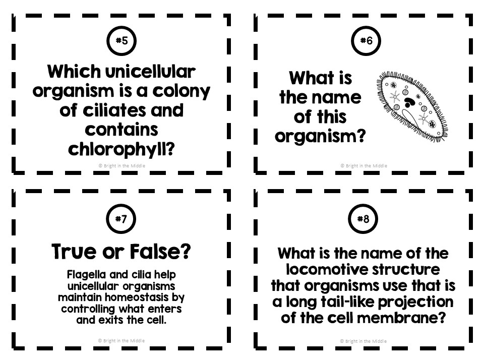 Unicellular Organisms Task Cards - Bright in the Middle