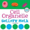 Plant and Animal Cell Organelle Gallery Walk - Bright in the Middle