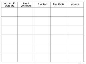Plant and Animal Cell Organelle Gallery Walk - Bright in the Middle