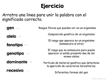 Genetics Unit Digital Interactive Lesson Bundle in ENGLISH AND SPANISH ...