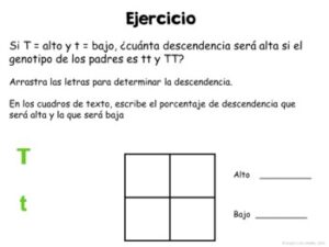 Genetics Unit Digital Interactive Lesson Bundle - TRANSLATED INTO ...