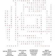 Genetics Word Search: Essential Standard: 7.L.2 - Bright in the Middle