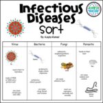 Infectious Diseases Sort - Bright in the Middle