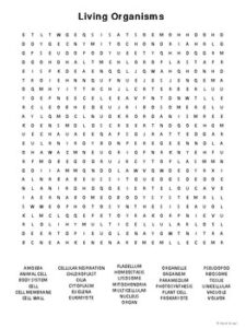 Science Word Search Bundle 7th Grade - Bright in the Middle