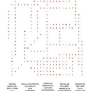 Living Organisms Word Search: Essential Standards 7.L.1.1 - 7.L.1.4 ...