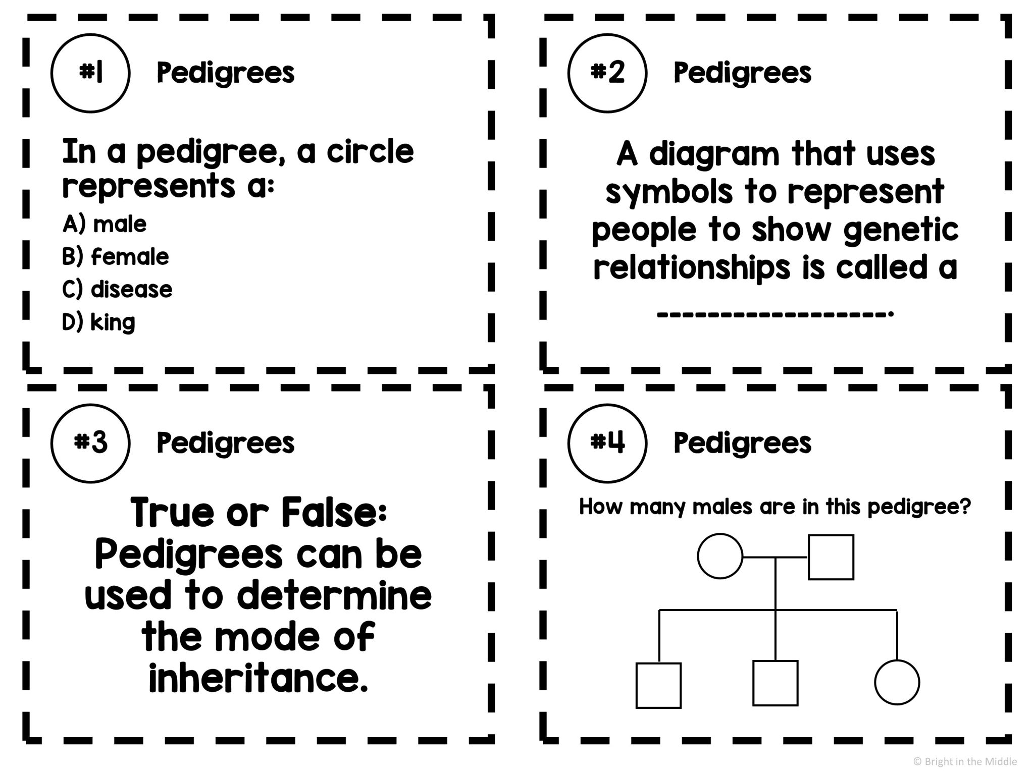 Pedigree Chart Practice - Task Cards - Bright in the Middle