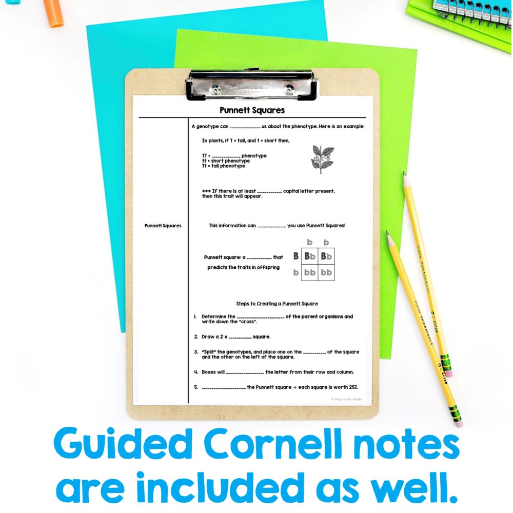Punnett Squares Lesson - Bright in the Middle