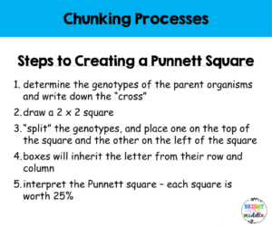 Chunking Memory Strategy in Middle School Science - Bright in the Middle