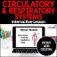 The Circulatory System and Respiratory System Lesson