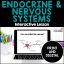 Endocrine System and the Nervous System Lesson - Bright in the Middle