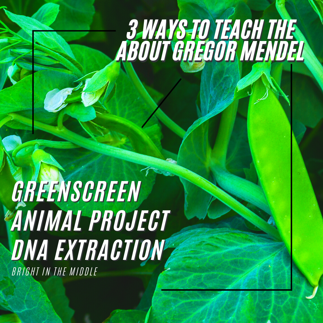 Teaching About Gregor Mendel Experiments on Pea Plants in Middle School
