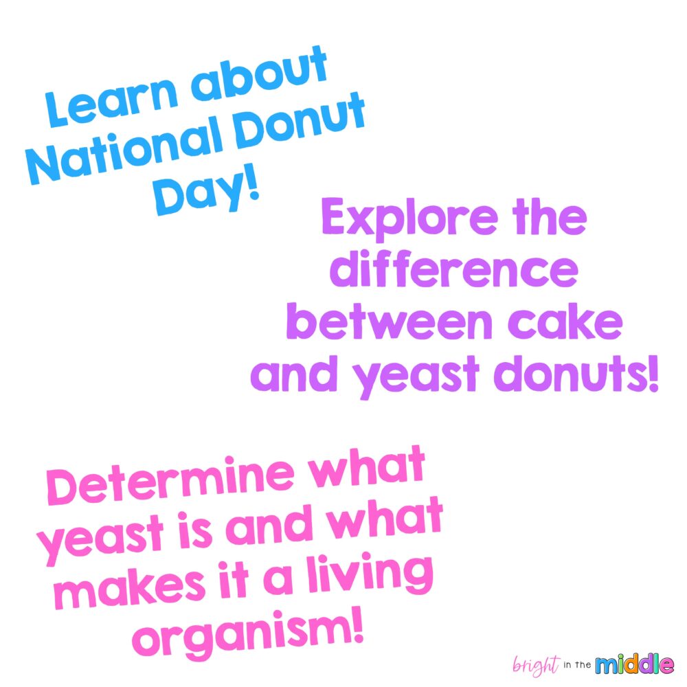 National Donut Day Activity - Bright in the Middle