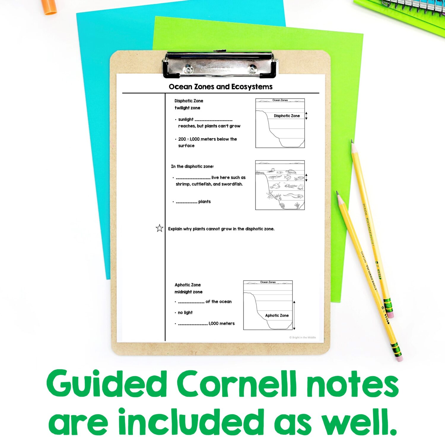 Ocean Zones and Ecosystems Lesson - Bright in the Middle