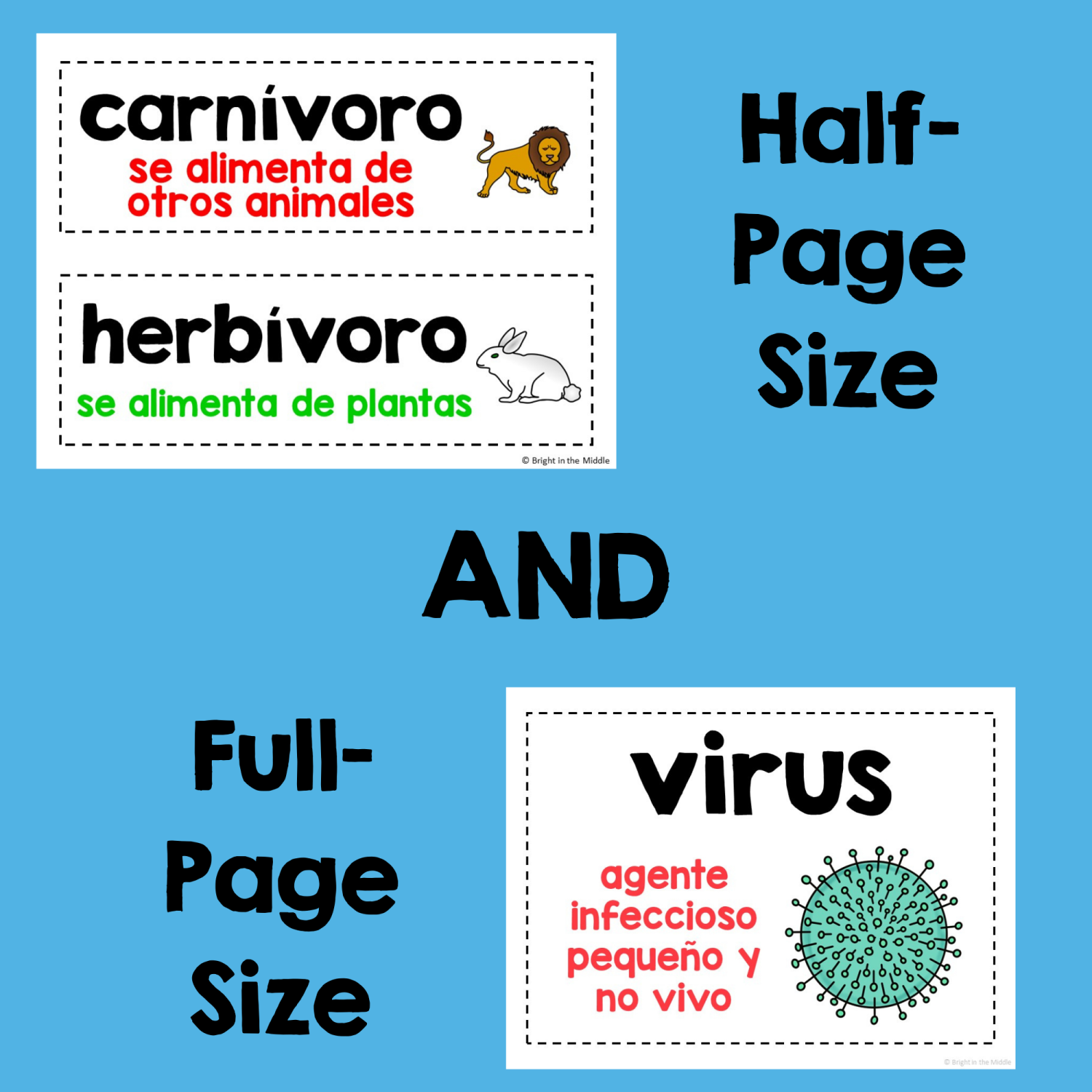 Science Word Wall - Spanish Bundle - Bright in the Middle