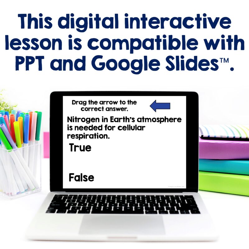 The Goldilocks Planet - Earth - Bright in the Middle