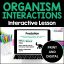 Organism Interactions in Ecosystems - Bright in the Middle