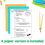 Organism Interactions in Ecosystems - Bright in the Middle