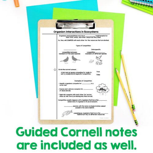 Organism Interactions in Ecosystems - Bright in the Middle