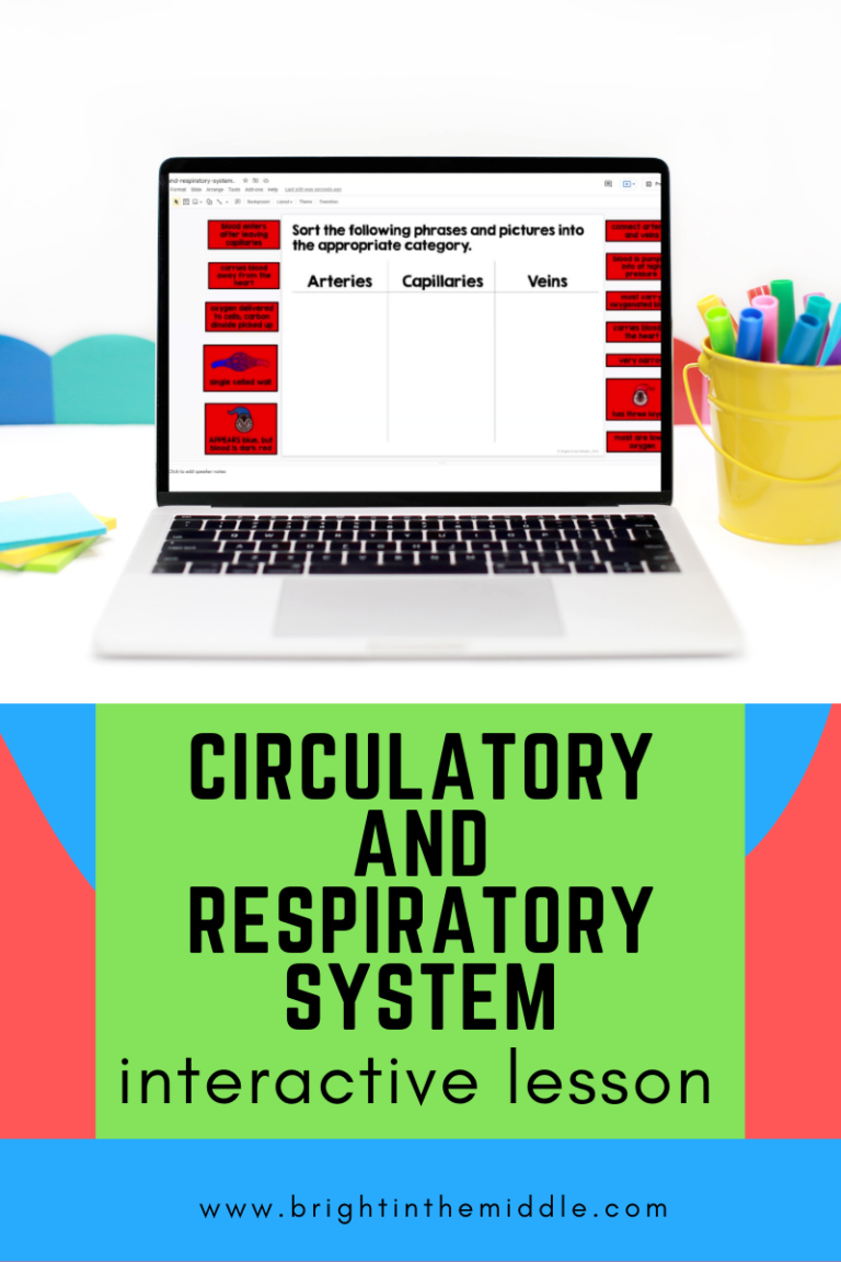 7 WOW Factor Lesson Ideas for the Circulatory and Respiratory Systems
