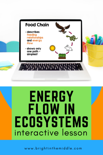 7 Ideas for an Energy Flow in Ecosystems WOW Factor Lesson