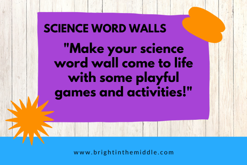 5 Effective Ideas for Science Word Walls In The Classroom