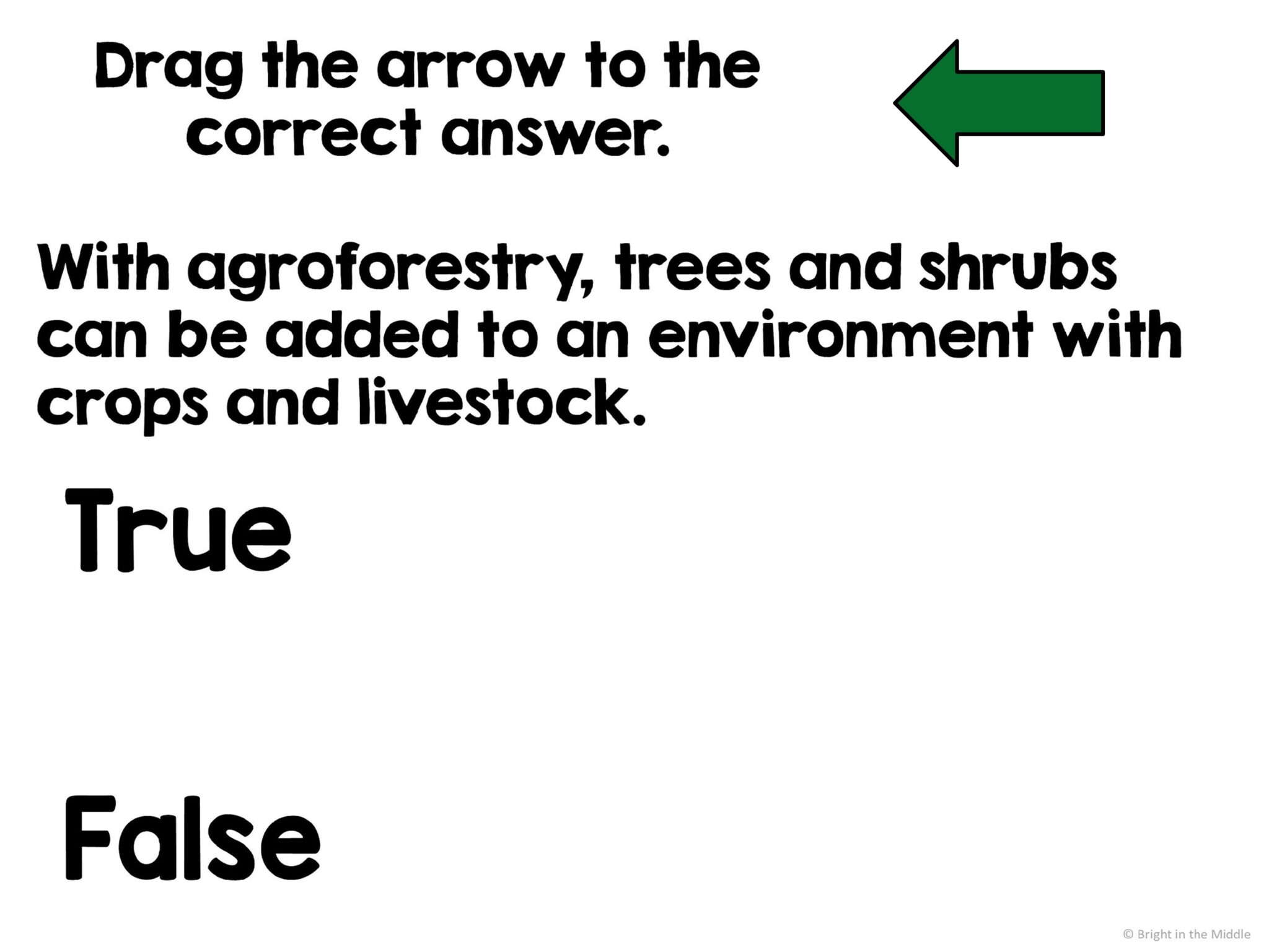 Earth Systems Lesson Bundle - Interactive - Bright in the Middle