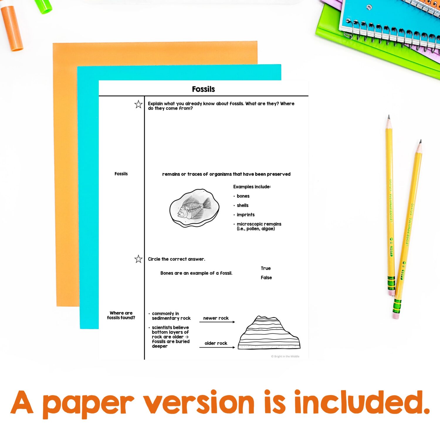 Fossils Lesson - Interactive