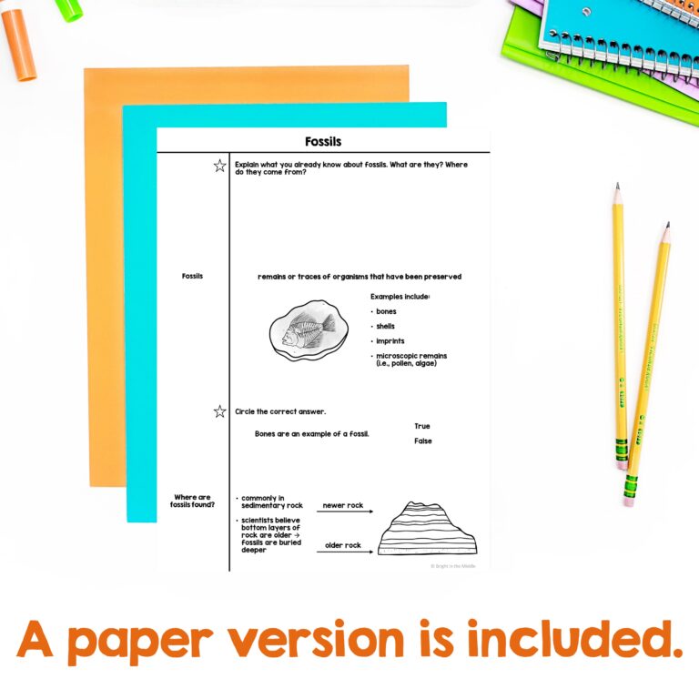 Fossils Lesson - Interactive