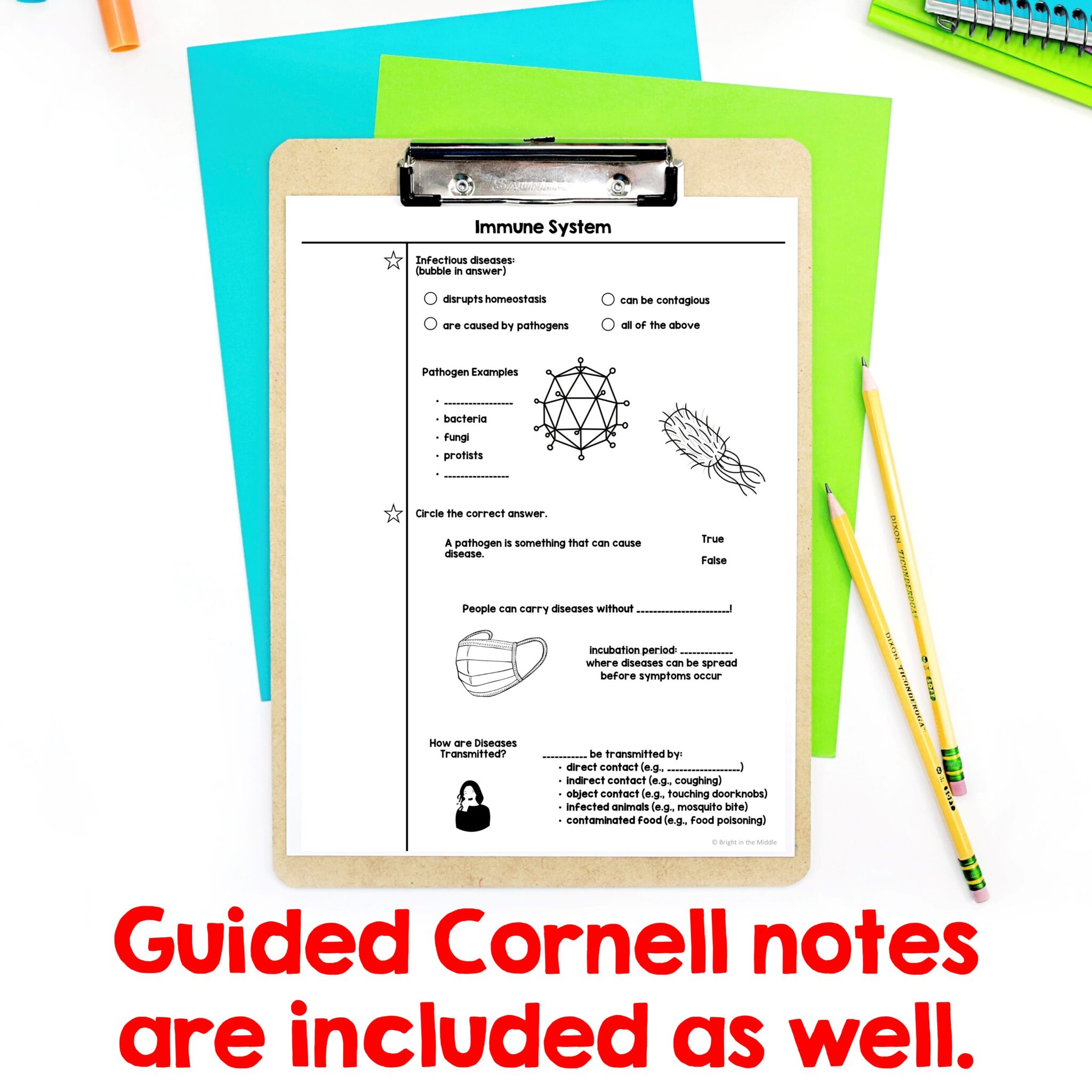 Immune System Interactive Lesson - Bright in the Middle