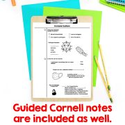 Immune System Interactive Lesson - Bright in the Middle
