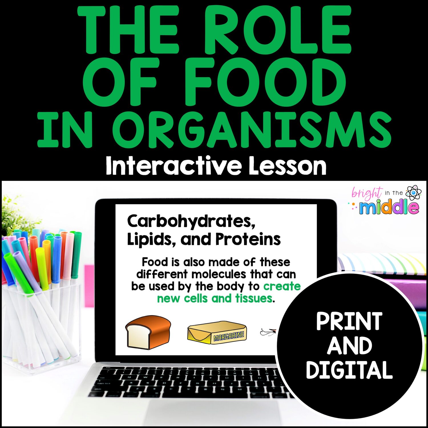 Food and Energy Lesson - Bright in the Middle