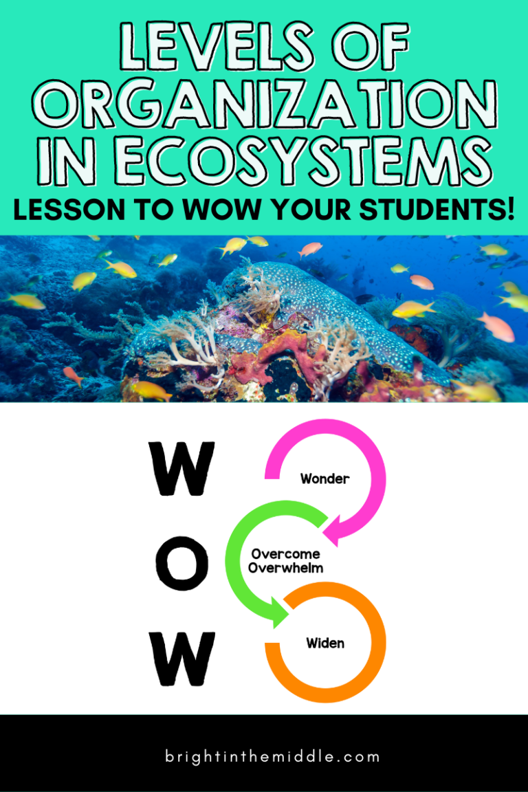 5 Levels of Organization of an Ecosystem to Bring the WOW Factor ...