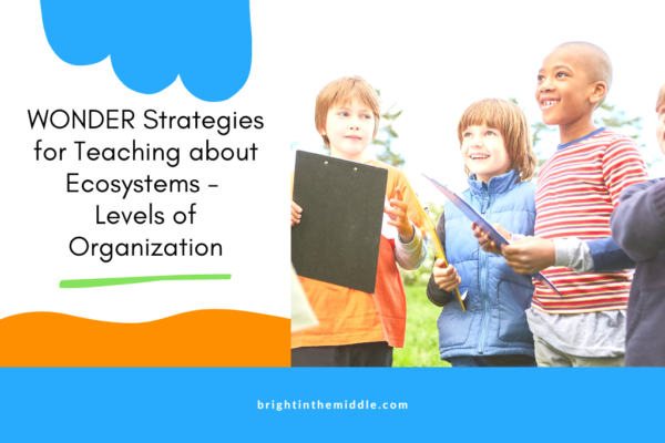 5 Levels of Organization of an Ecosystem to Bring the WOW Factor ...