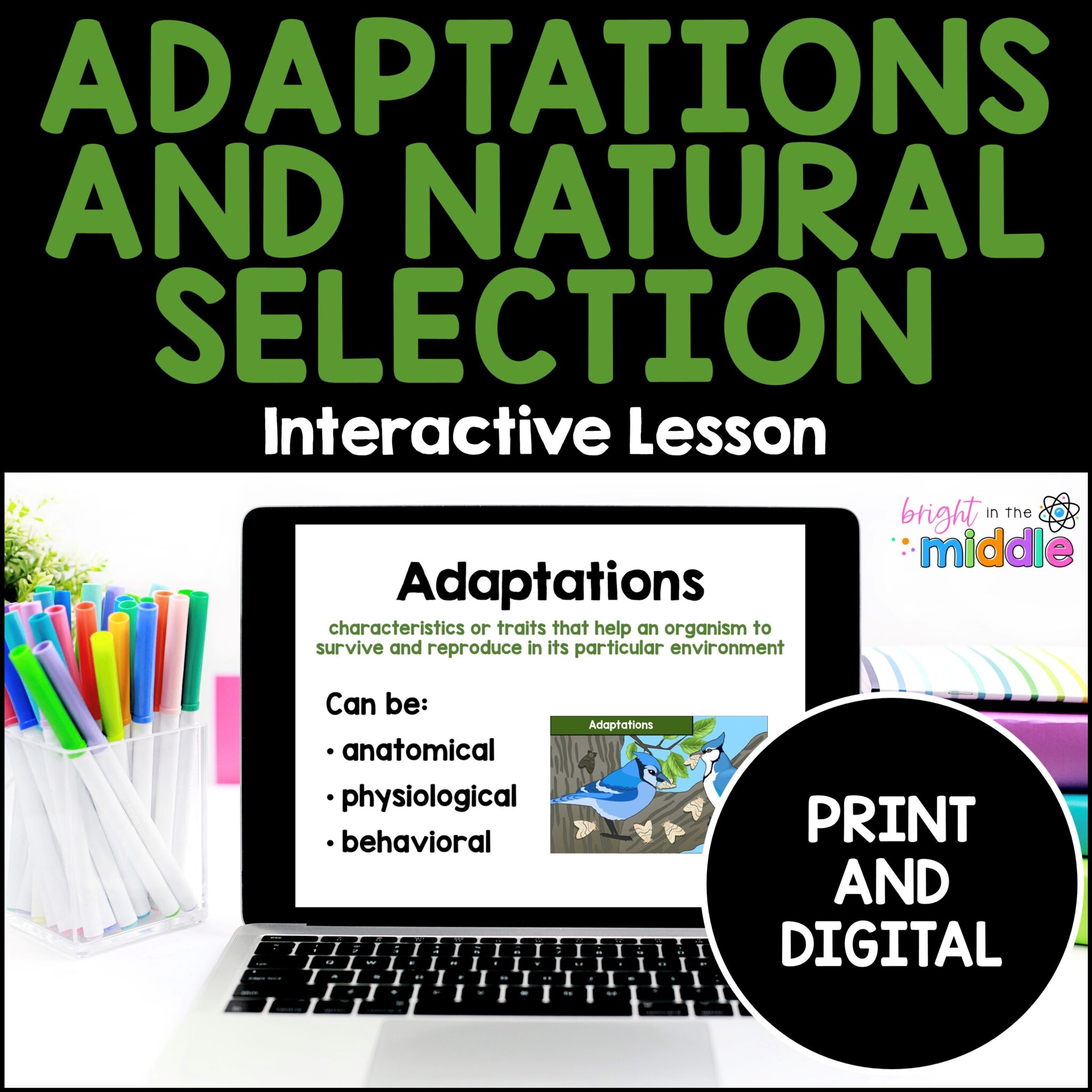 Adaptations and Natural Selection Lesson and Activity - Bright in the ...