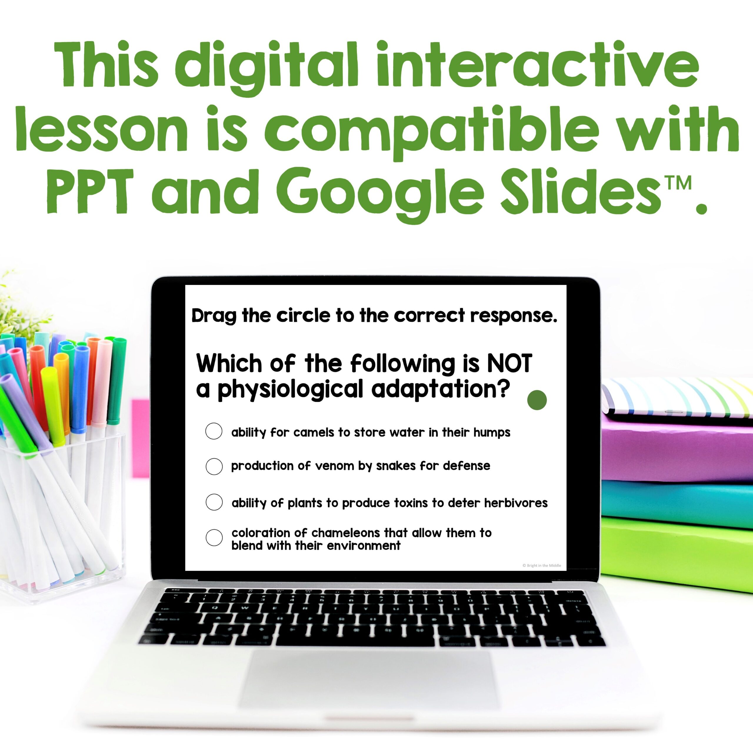 Adaptations and Natural Selection Lesson and Activity - Bright in the ...