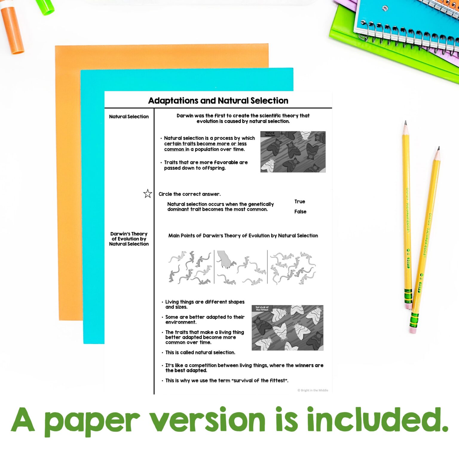 Adaptations and Natural Selection Lesson and Activity - Bright in the ...