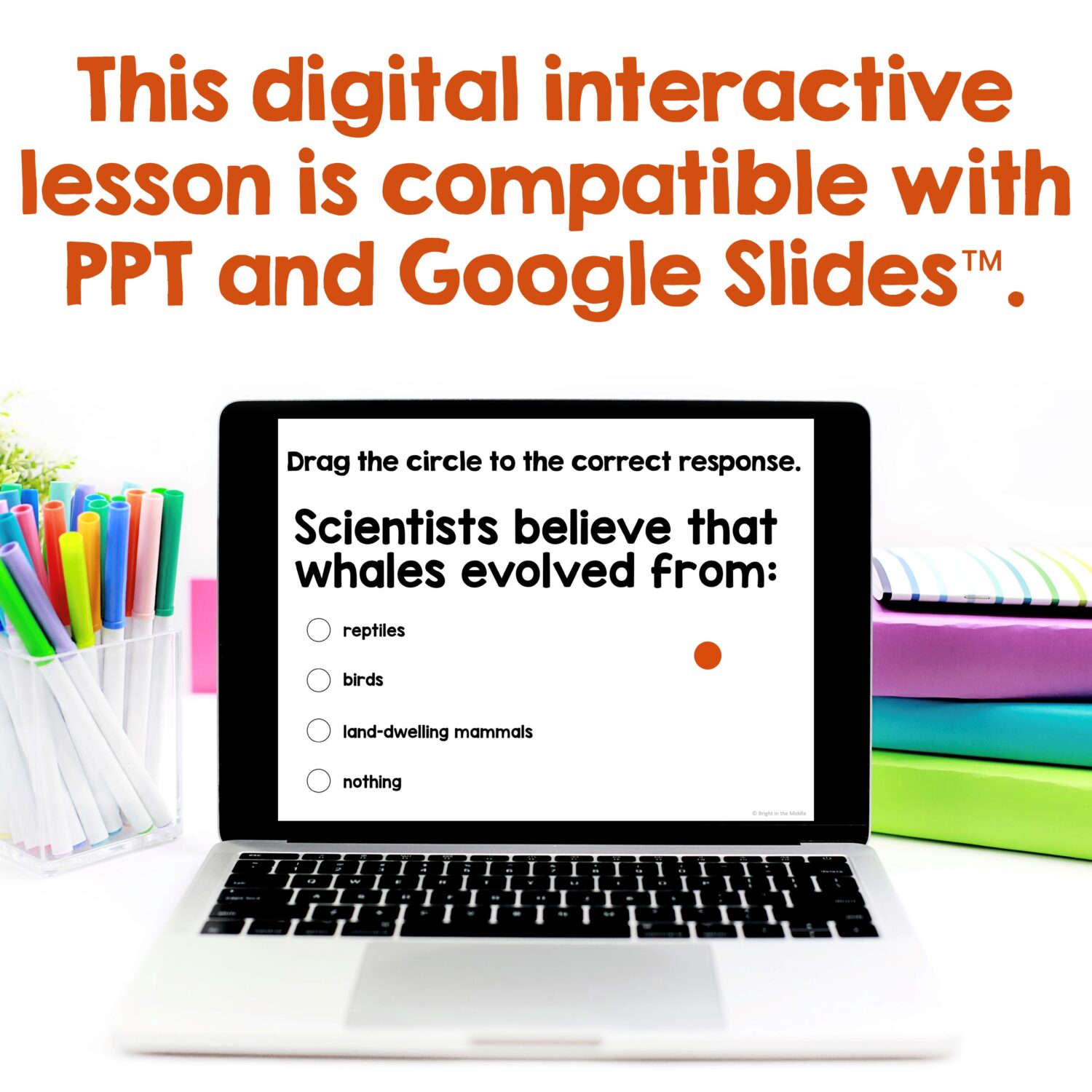 Evidence of Evolution Fossils Interactive Lesson - Bright in the Middle