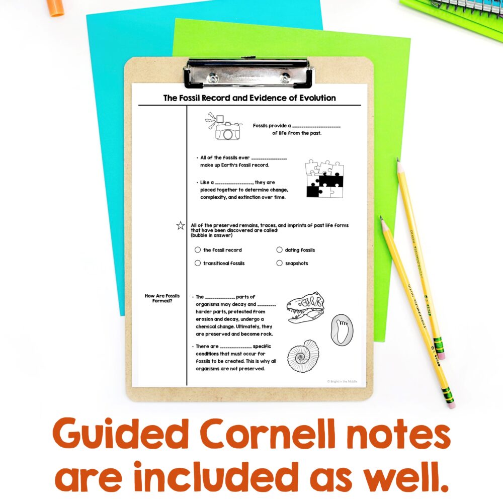 Evidence of Evolution Fossils Interactive Lesson - Bright in the Middle