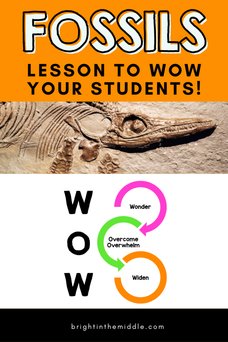 7 Ways to Teach the Types of Fossils with the WOW Factor - Bright in ...