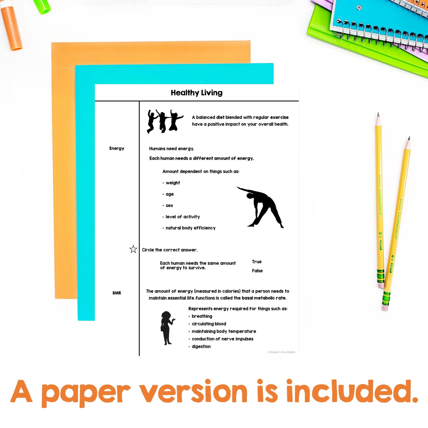 Healthy Living Lesson - Bright in the Middle